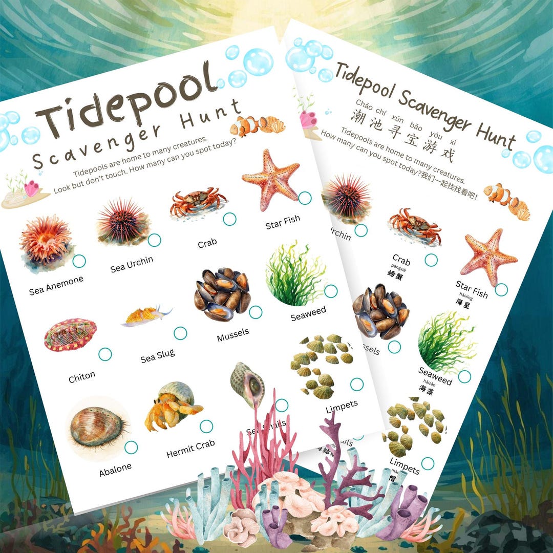 Watercolor Tidepool Scavenger Hunt for Kids – Printable STEM Nature ...
