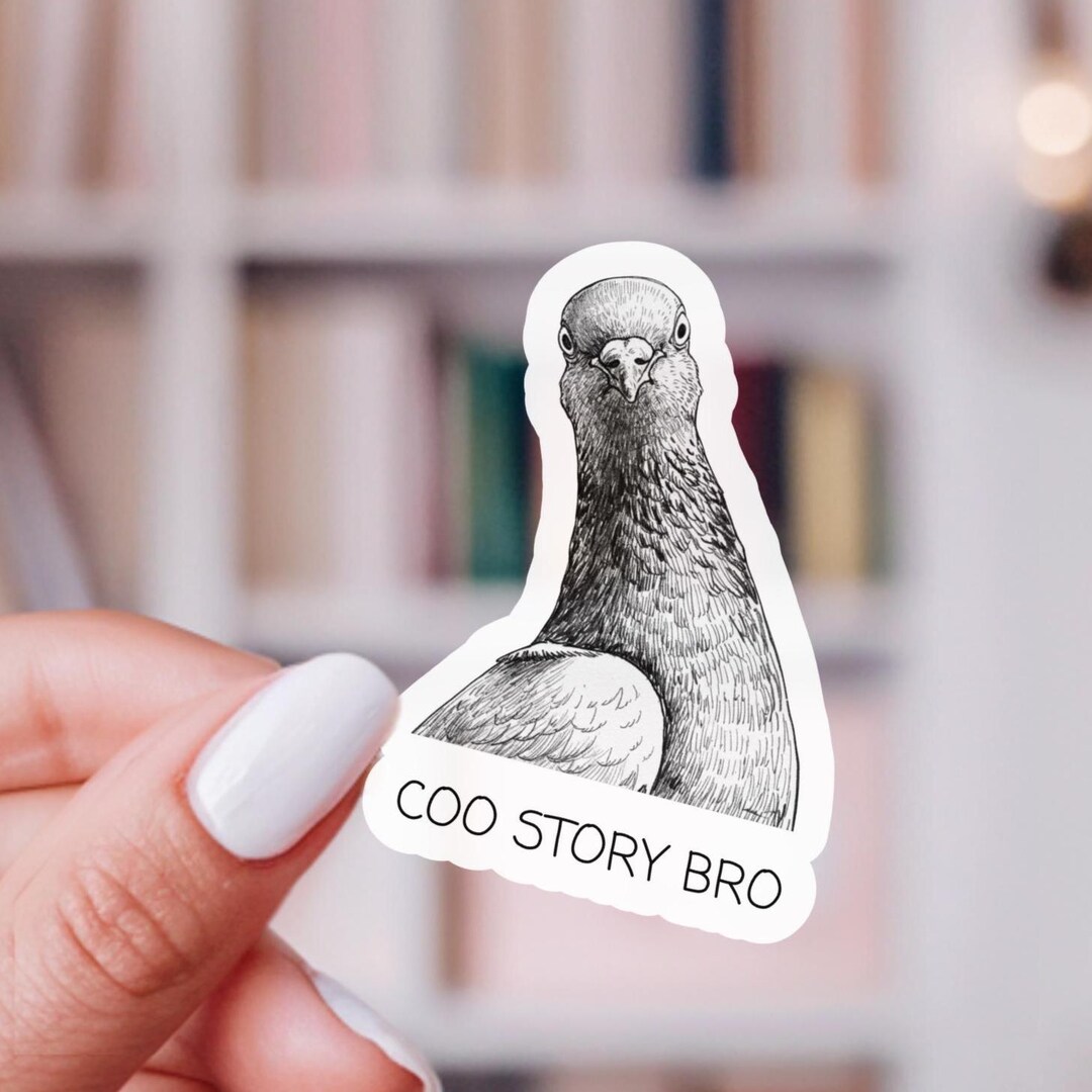 Funny Pigeon Sticker, Bird Lover Decal, Snarky Pigeon Gift, Pigeon ...