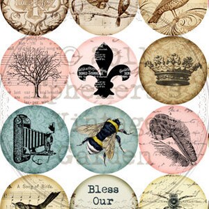 Printable Birdies and Things Inchie Circles Digital Collage - Etsy