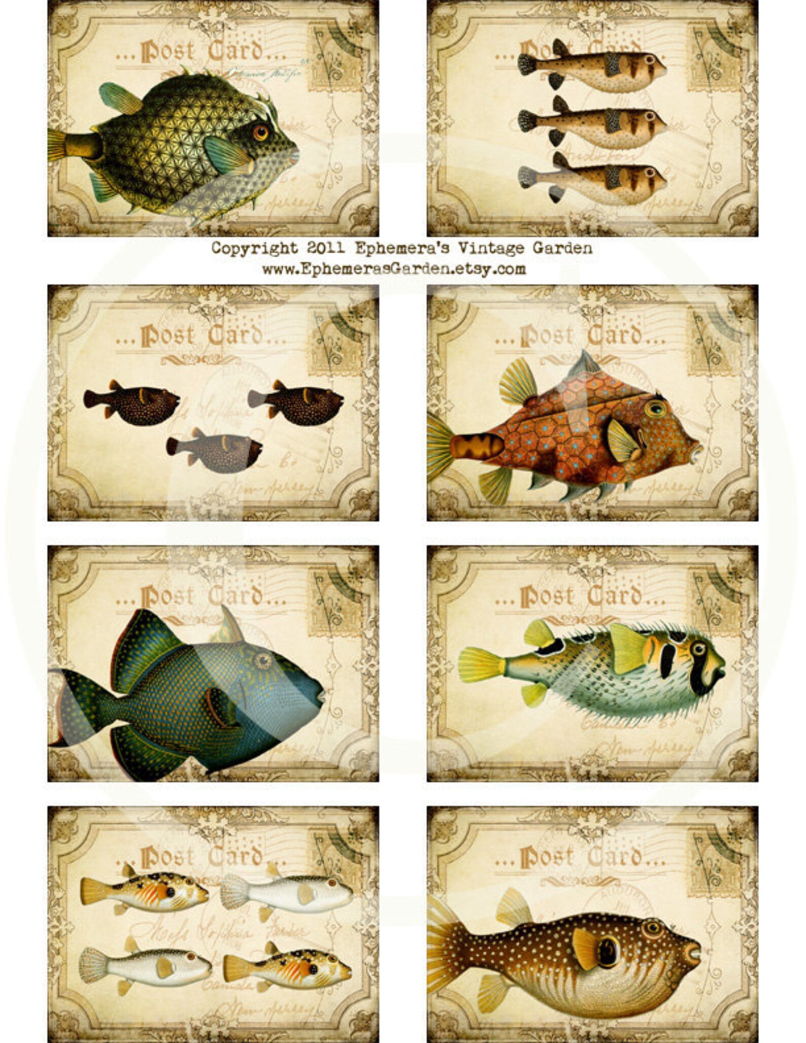 Silly Fish Postcard Atc's Digital Collage Sheet - Etsy