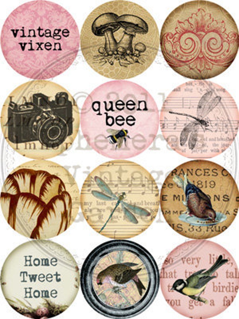 Printable Birdies and Things Inchie Circles Digital Collage | Etsy