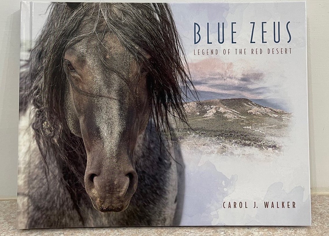 Blue Zeus Book Coffee Table Book With Bookmark Signed by - Etsy