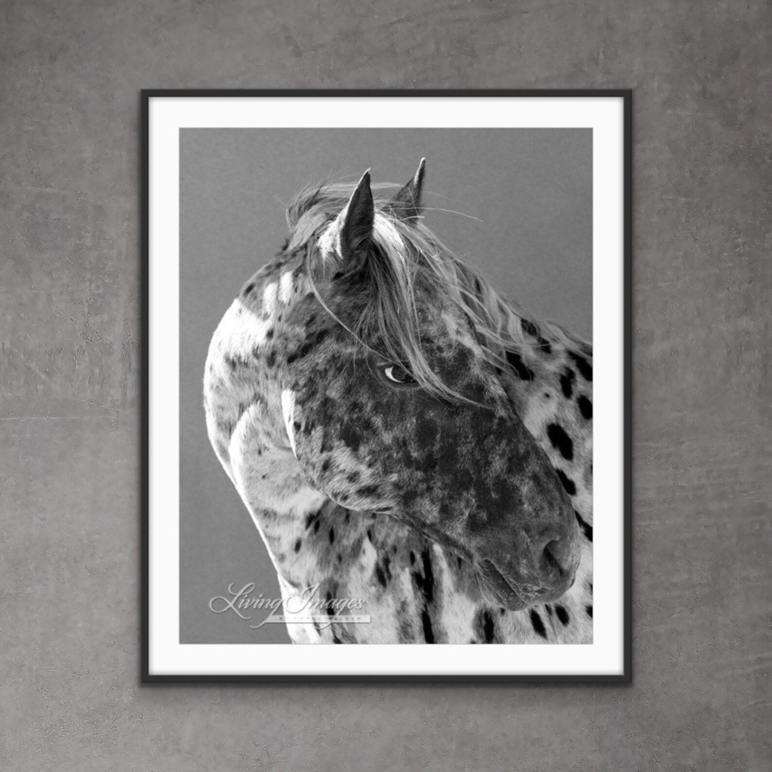 Horse Photography Leopard Appaloosa Horse Print - “leopard Appaloosa ...