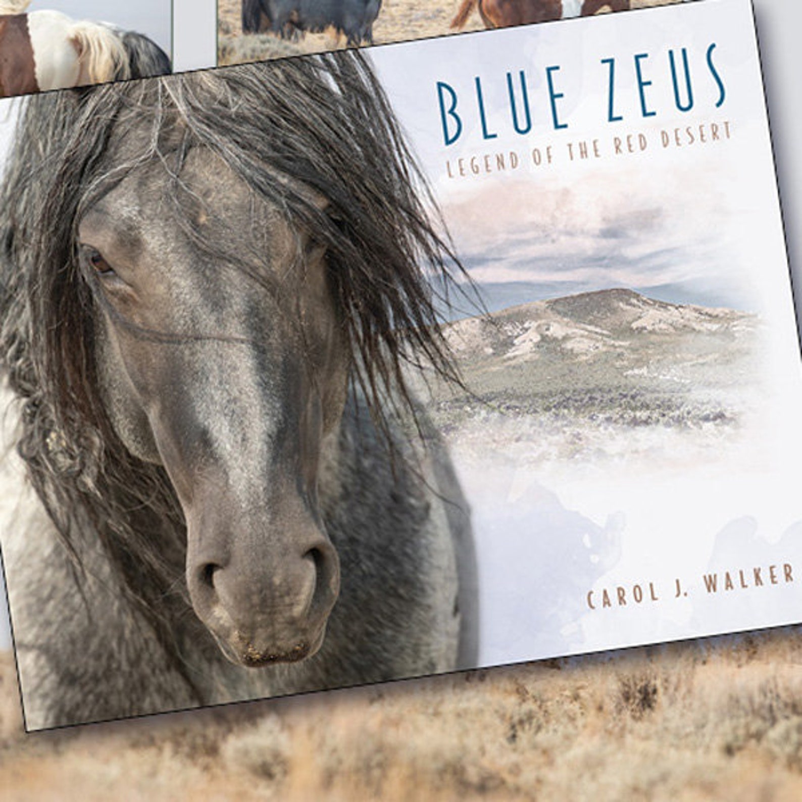 Blue Zeus Book, Coffee Table Book With Bookmark Signed by Author Wild ...