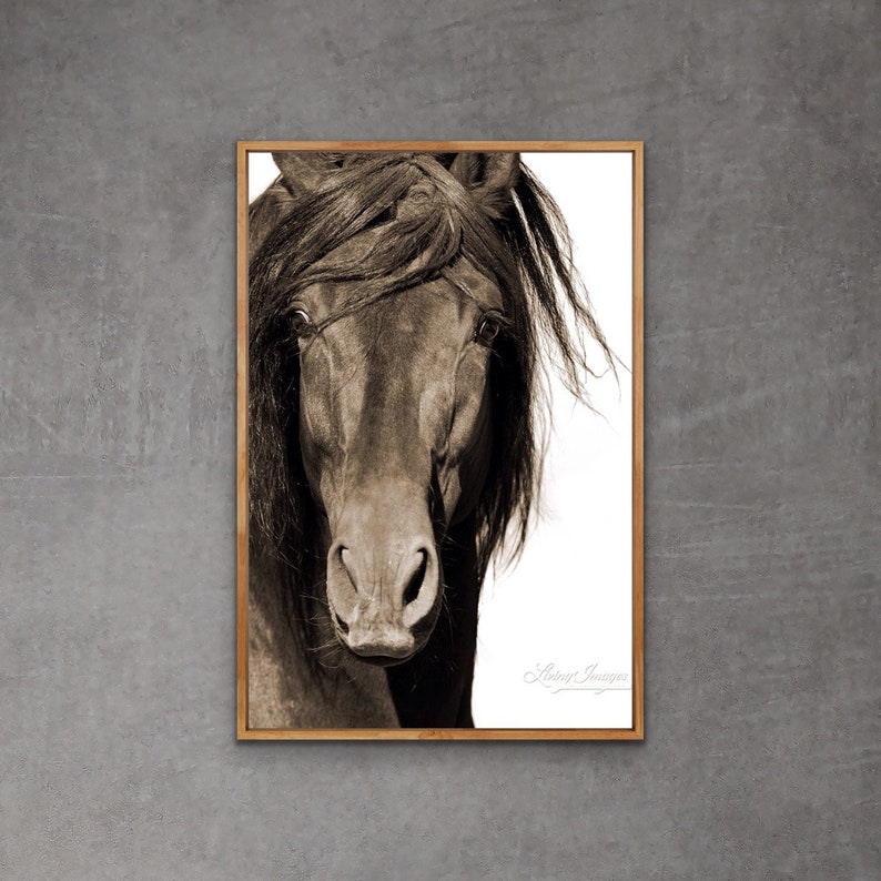 Horse Photography Black Andalusian Sepia Print el Caballo - Etsy