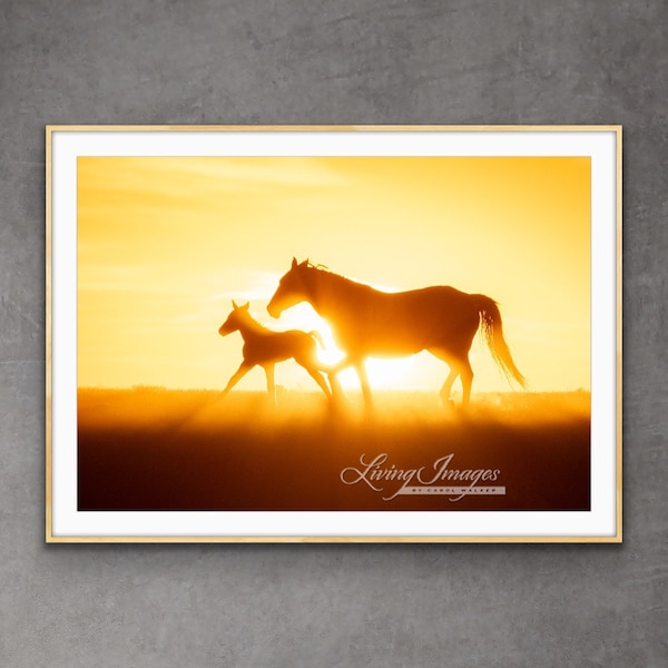 Mare and Foal Silhouette - Etsy