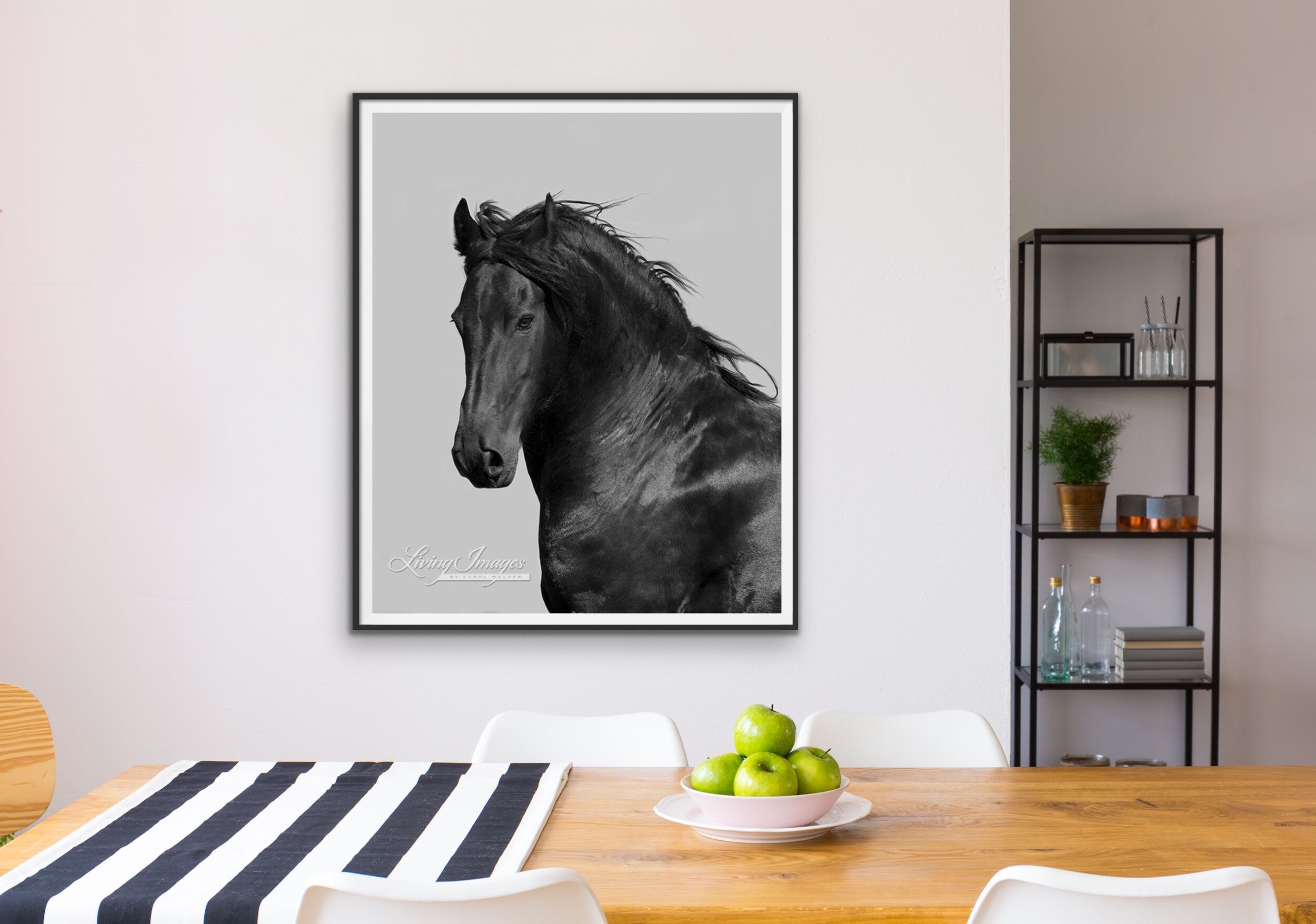Horse Photography Black Friesian Stallion Print - “black Friesian Looks ...