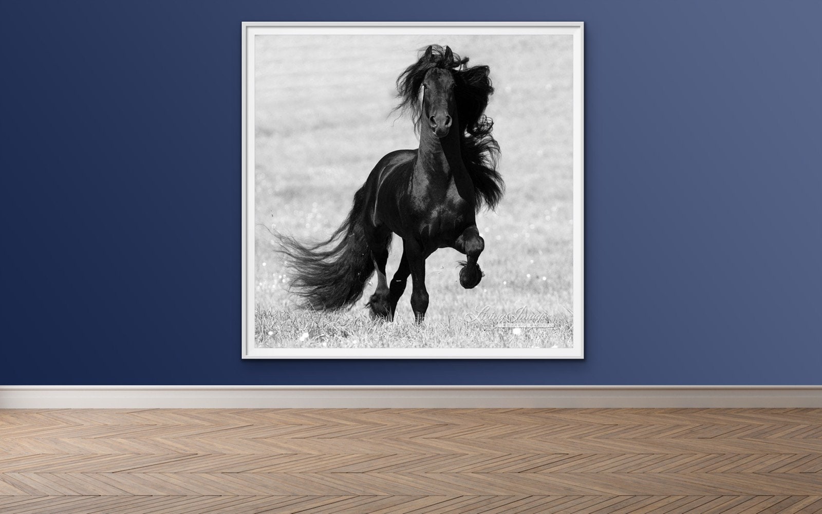 Horse Photography Black Friesian Horse Print Friesian Runs | Etsy