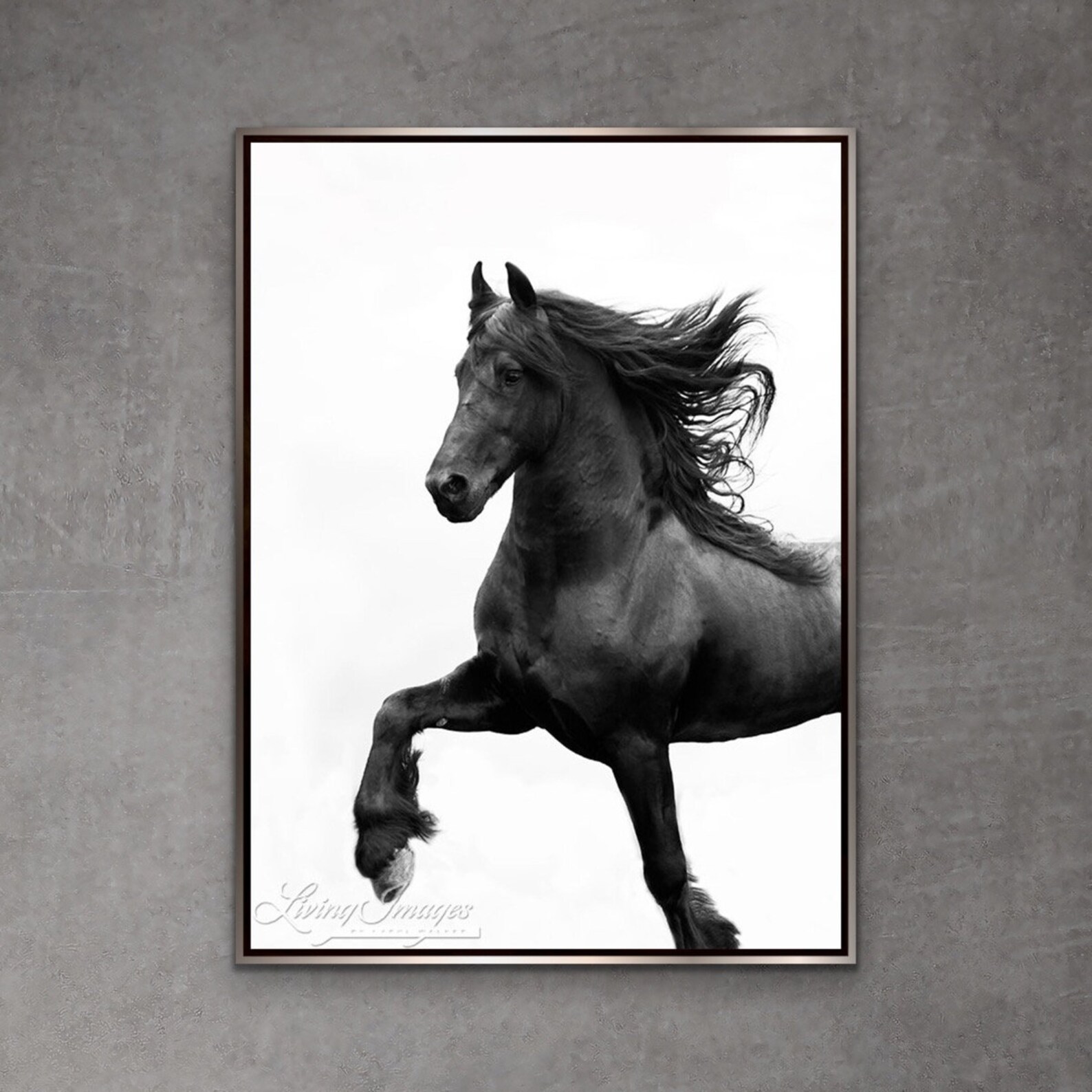 Horse Photography Black Friesian Stallion Print - “black Friesian ...