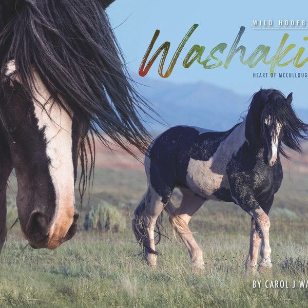 Photo Calendar - Etsy