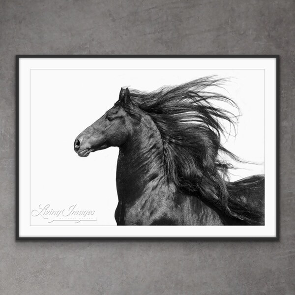 Friesian - Etsy