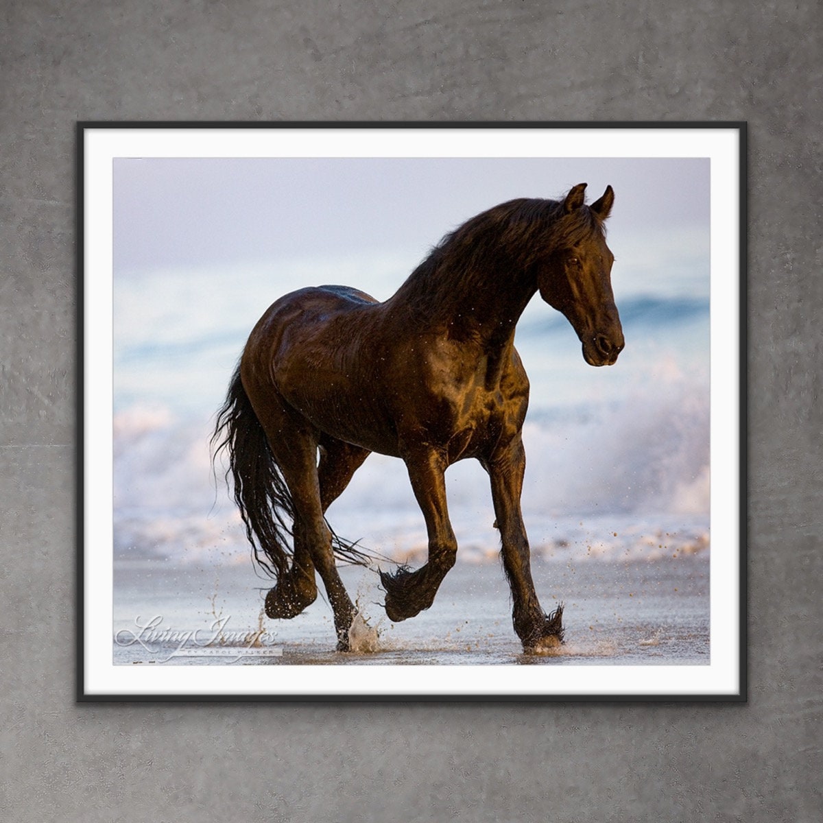 Horse Photography Black Friesian Stallion Print - “the Friesian at the ...