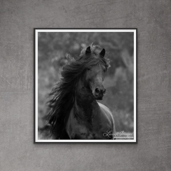 Friesian - Etsy