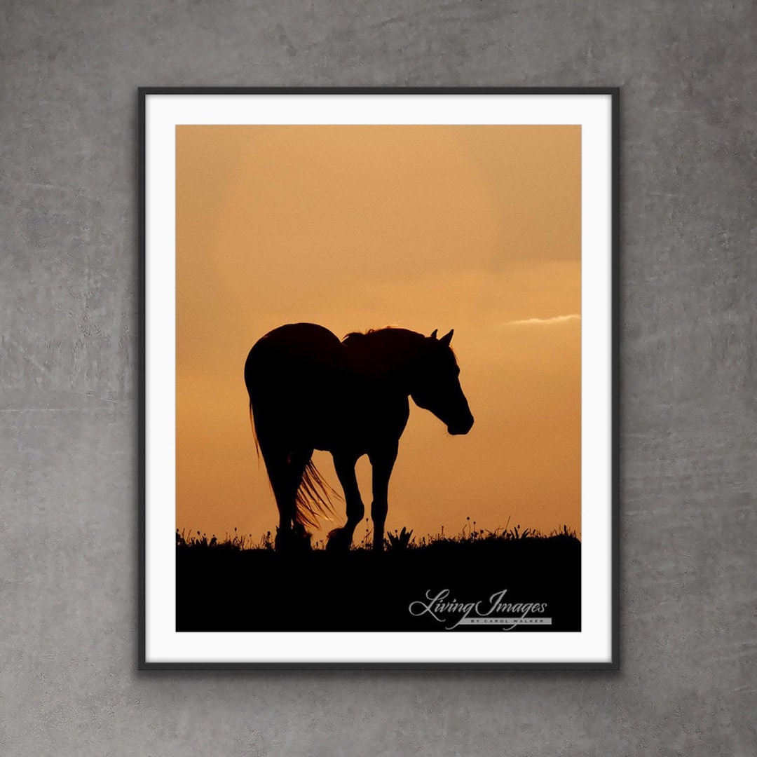 Cloud Walks at Sunset - Fine Art Wild Horse Photograph - Wild Horse ...