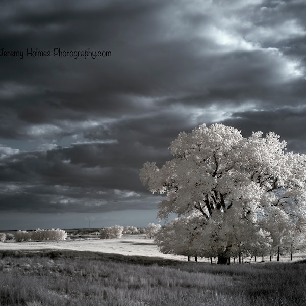 Infrared Fine Art - Etsy
