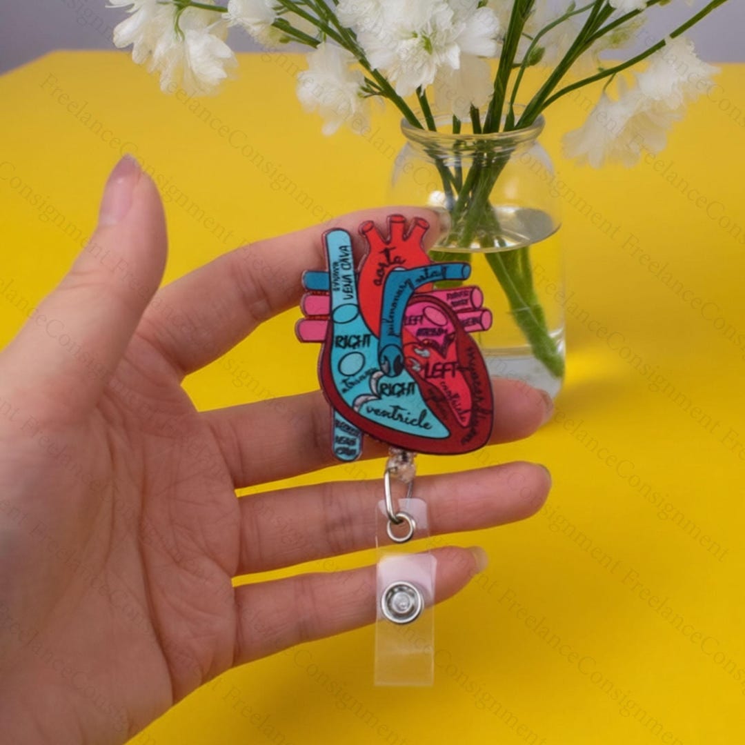 Anatomical Heart Badge Reel,heart Badge Reel,retractable Nurse Doctor ...