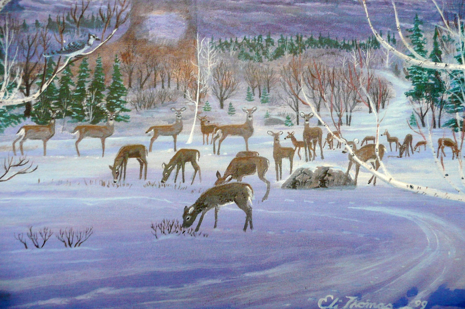 Deer Art ,native American Art, Animal Art, Animal Totem Deer , Wildlife ...