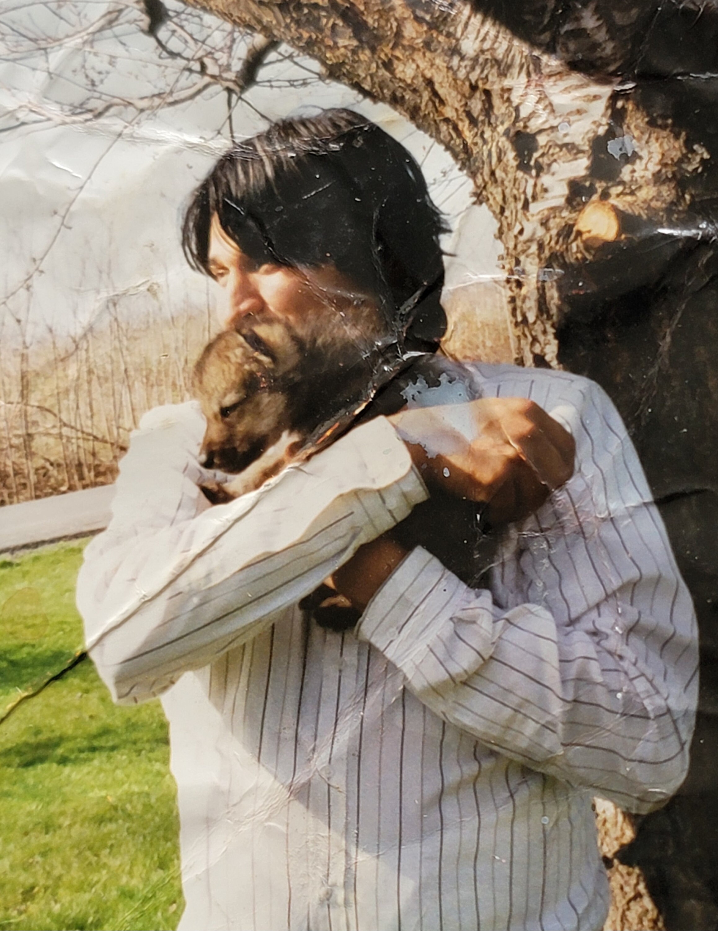 Eclipse Moon , Wolf Totem, Wolf Family Art Print , Animal Native ...