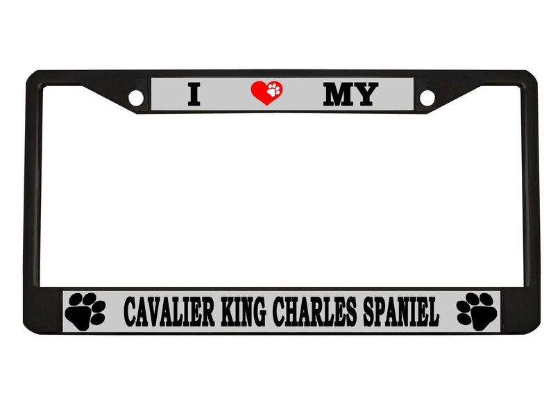 Cavalier King Charles Spaniel License Plate Frame - Dog Lovers Car Tag ...
