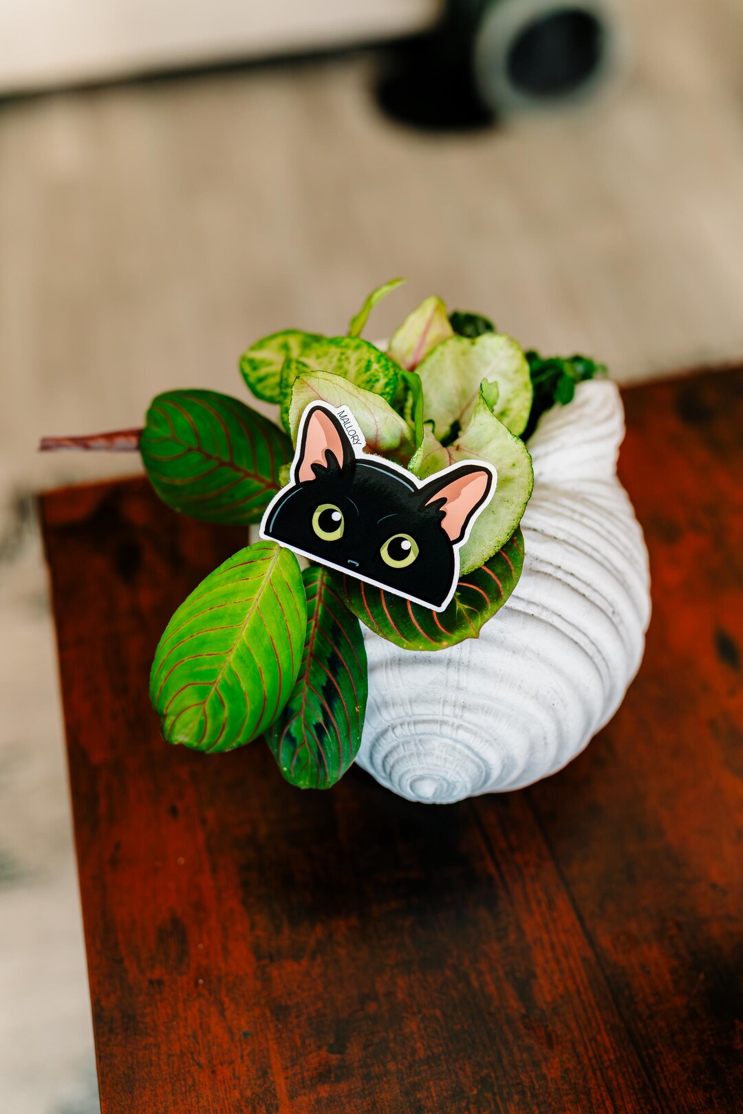 Black Cat - Mallory Peeker Sticker - Etsy