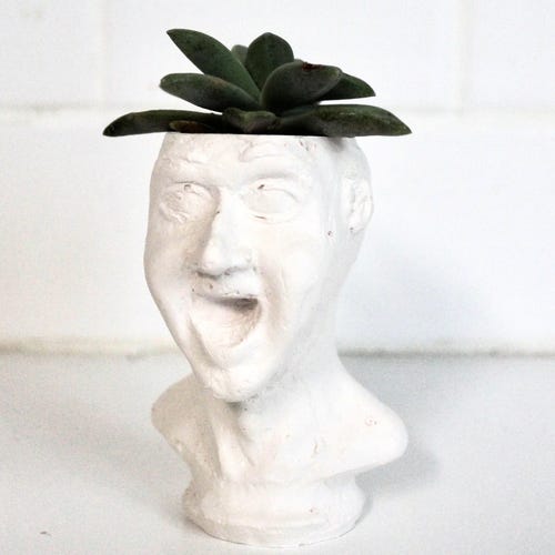 Face Planter Woman Head Planter Head Pot 3D Printed - Etsy