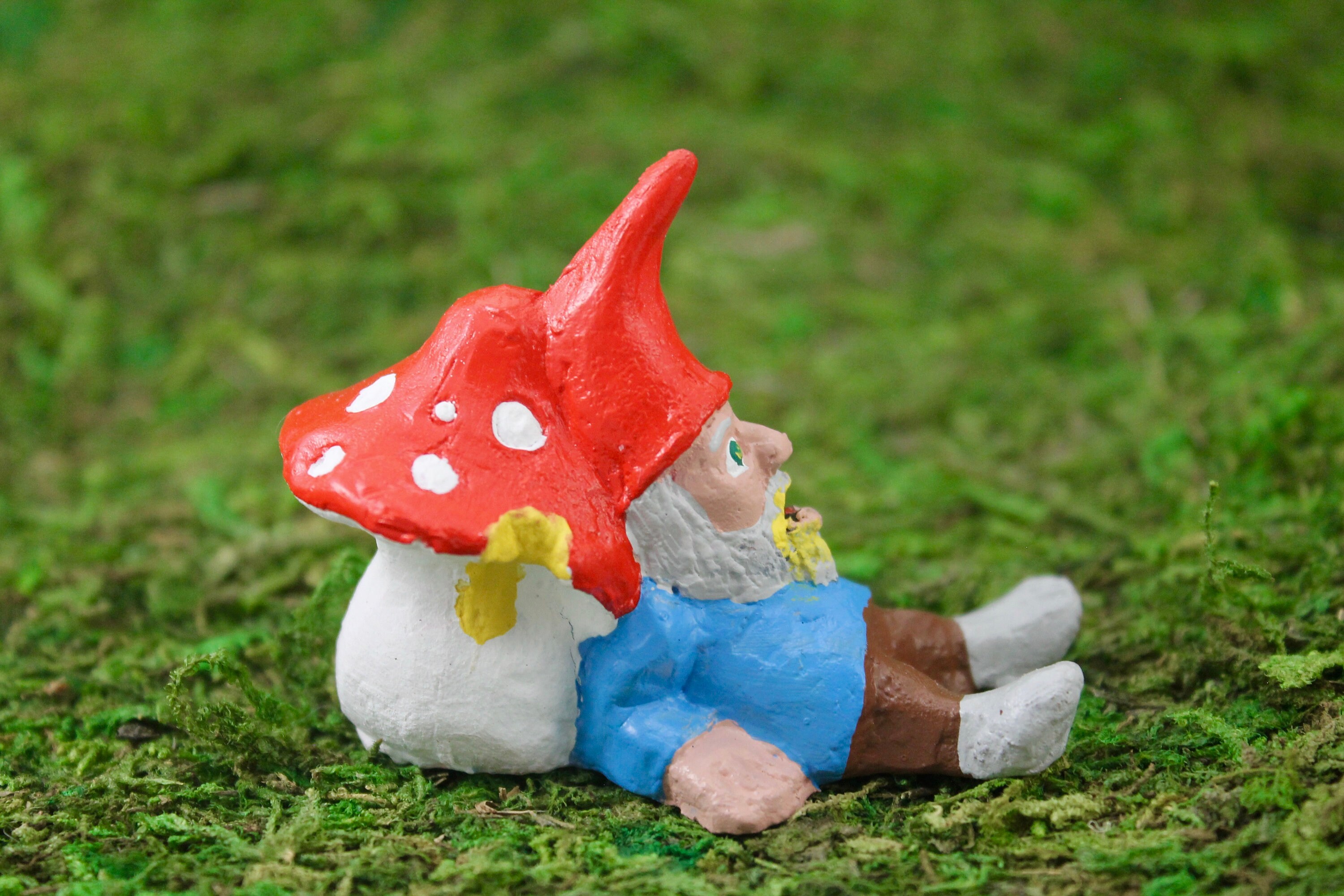 Pocket Zombie Gnomes: Blasted Billy | Etsy