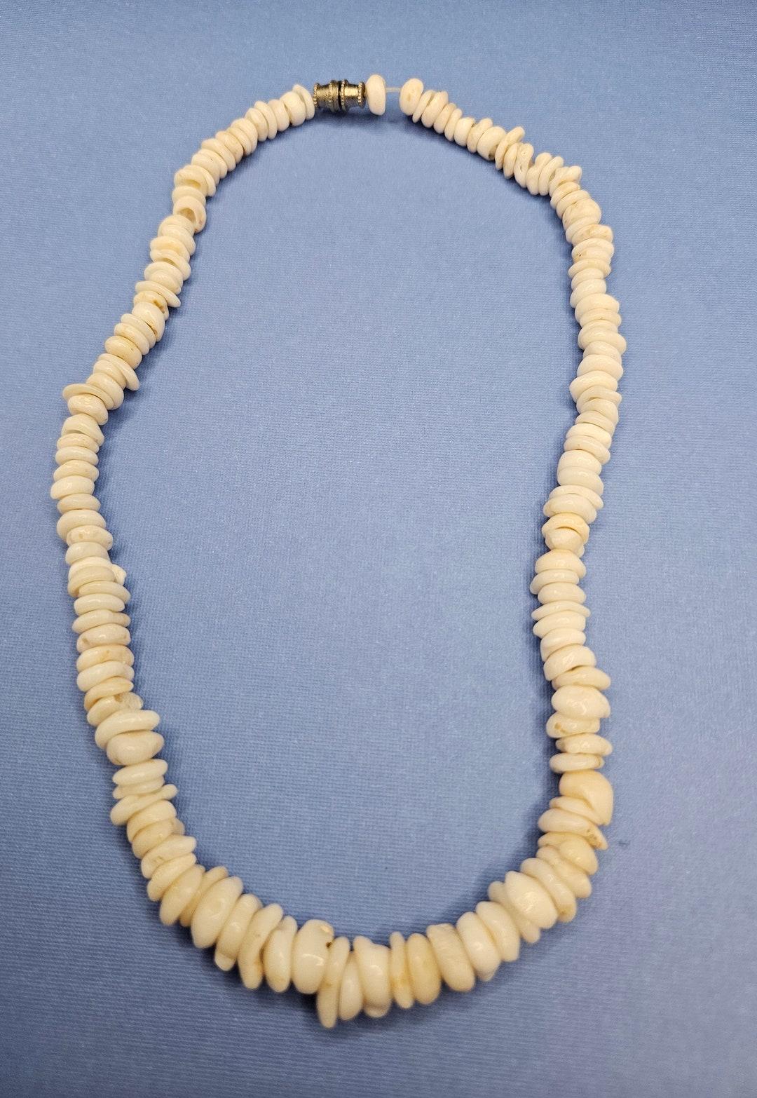 Vintage Unique Puka Shell in Graduated Size. in Excellent Vintage ...