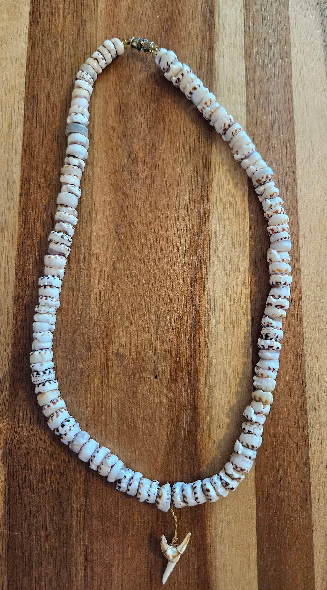 Huge Tiger Puka Shells 18. 25 Inch Necklace With a Sharks Tooth (shark ...