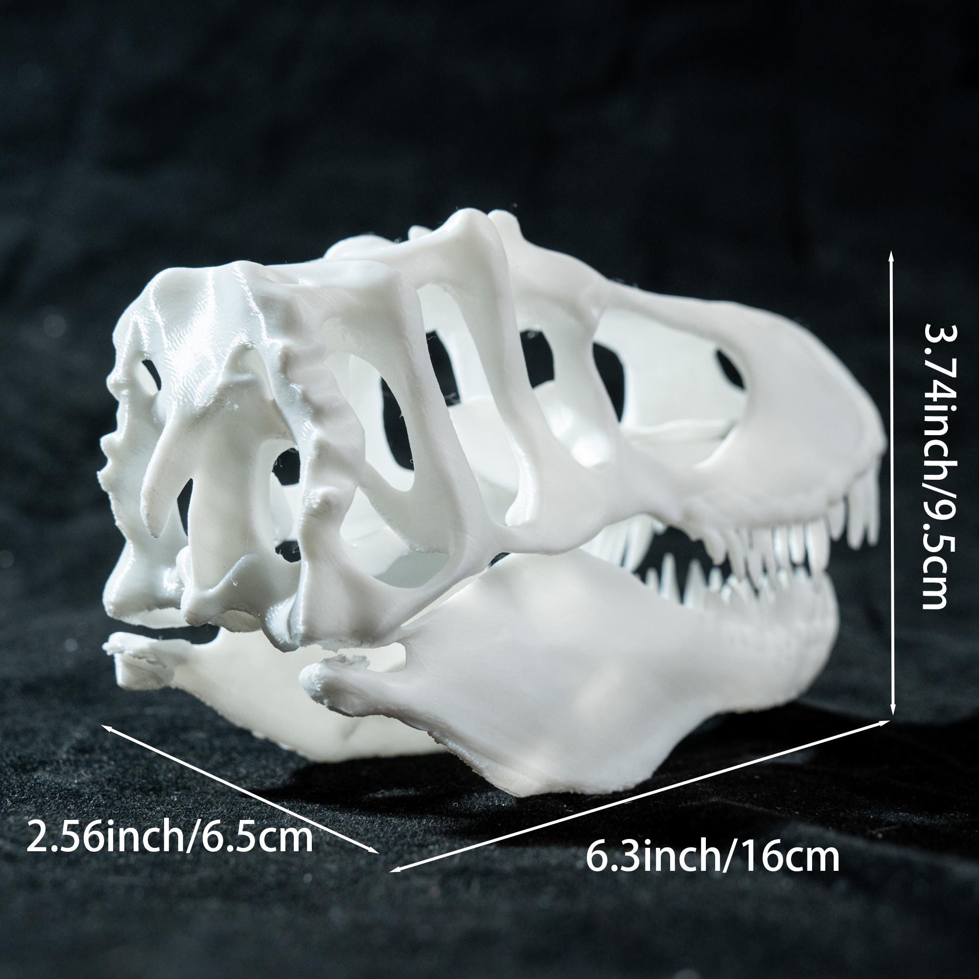 Dinosaur Skull Aquarium Hideout – Fossil Inspired Fish Tank Shelter 3D ...