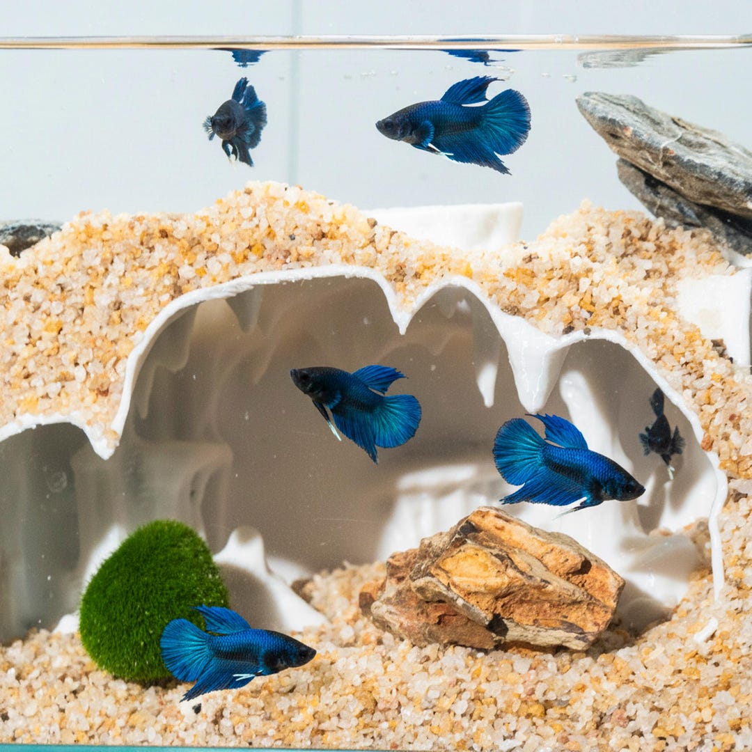 3D Printed Reptile Climbing Tower Hide Natural Rock Style Terrarium ...