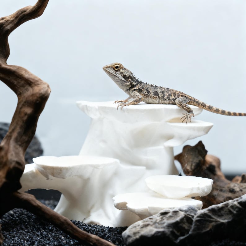 3D Printed Reptile Climbing Platform and Hideout Tree Stump Rock ...