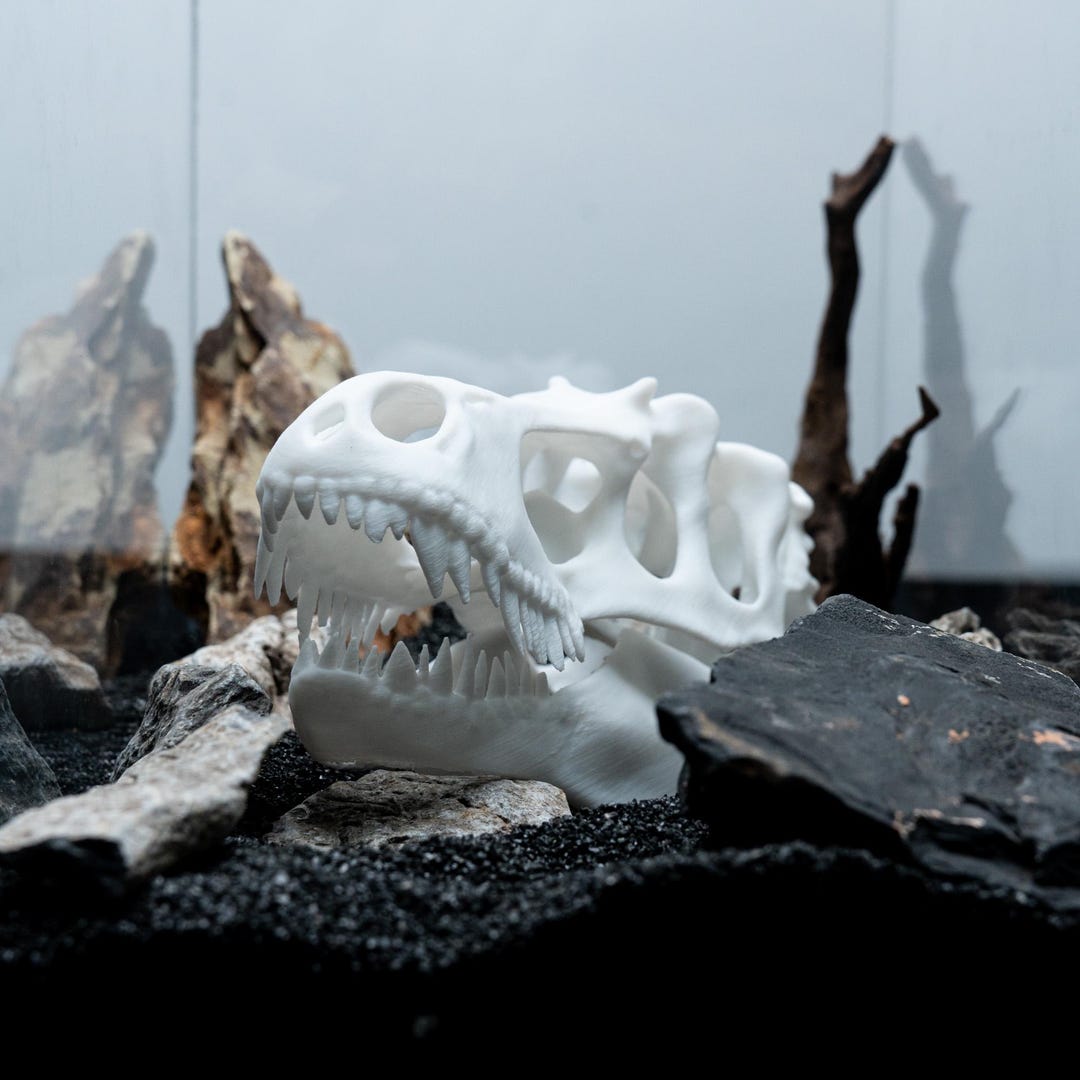 Dinosaur Skull Aquarium Hideout – Fossil Inspired Fish Tank Shelter 3D ...