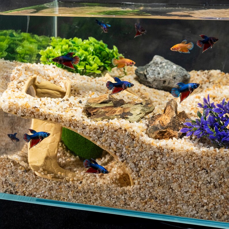 3D Printed Aquarium Cave Decoration Fish Tank Hideout Natural Rock ...
