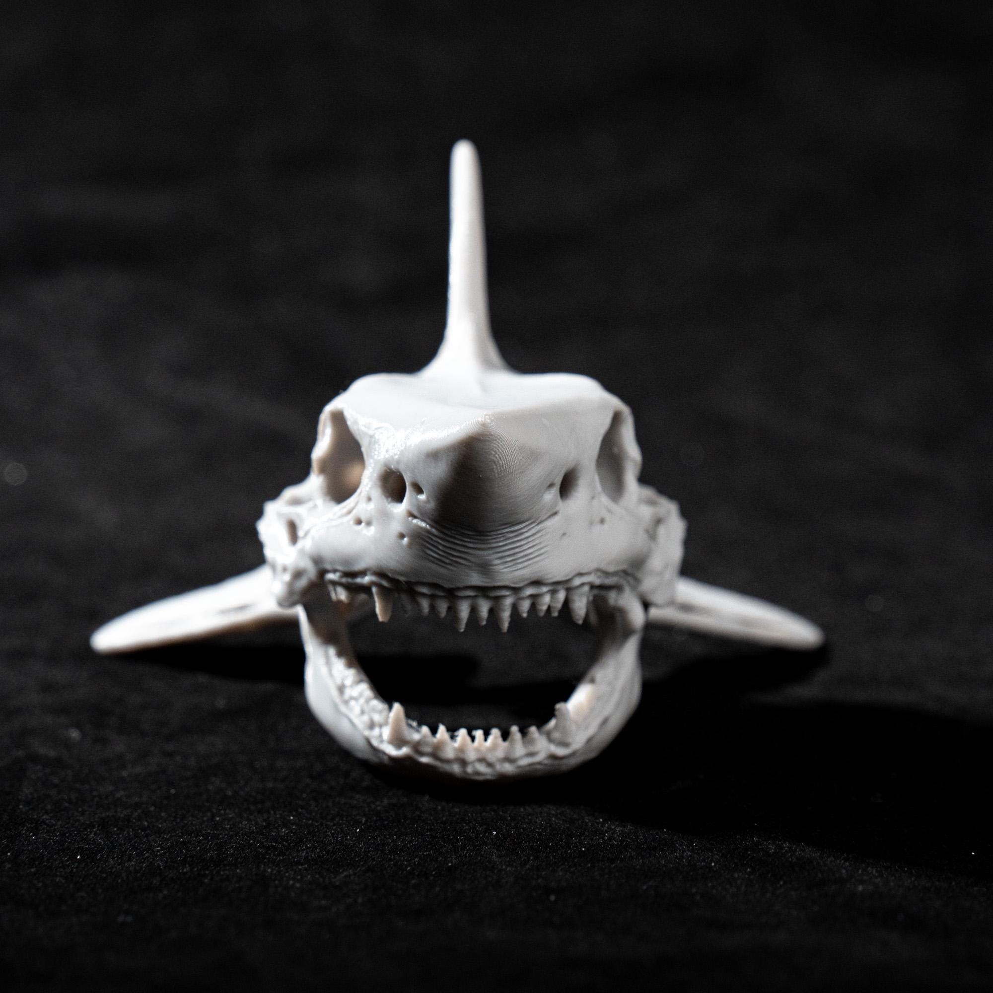 Shark Skull Aquarium Decor 3D Printed Fossil Cave Hideout Fish Tank ...