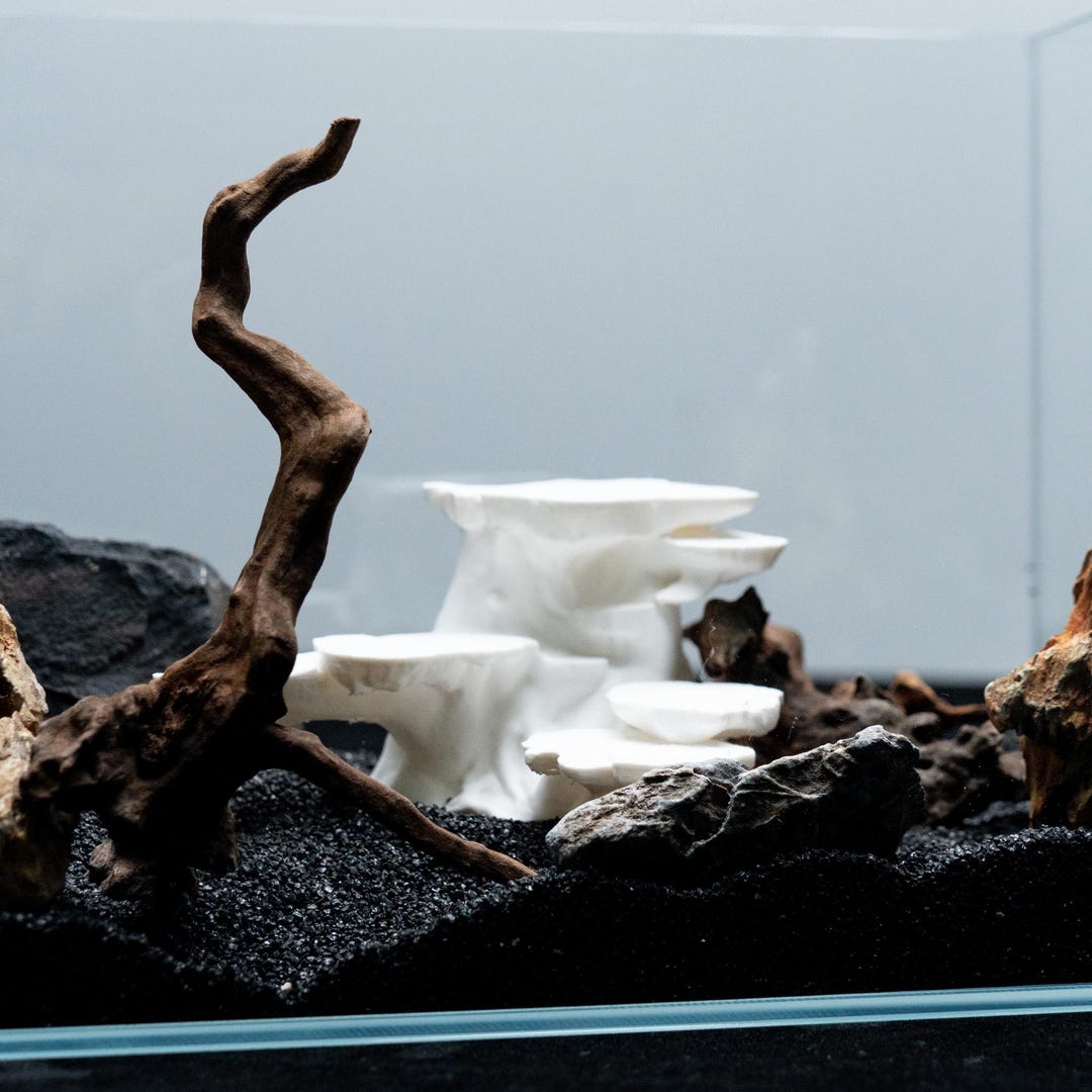 Tree Stump Rock Formation for Reptiles 3D Printed Climbing Platform ...