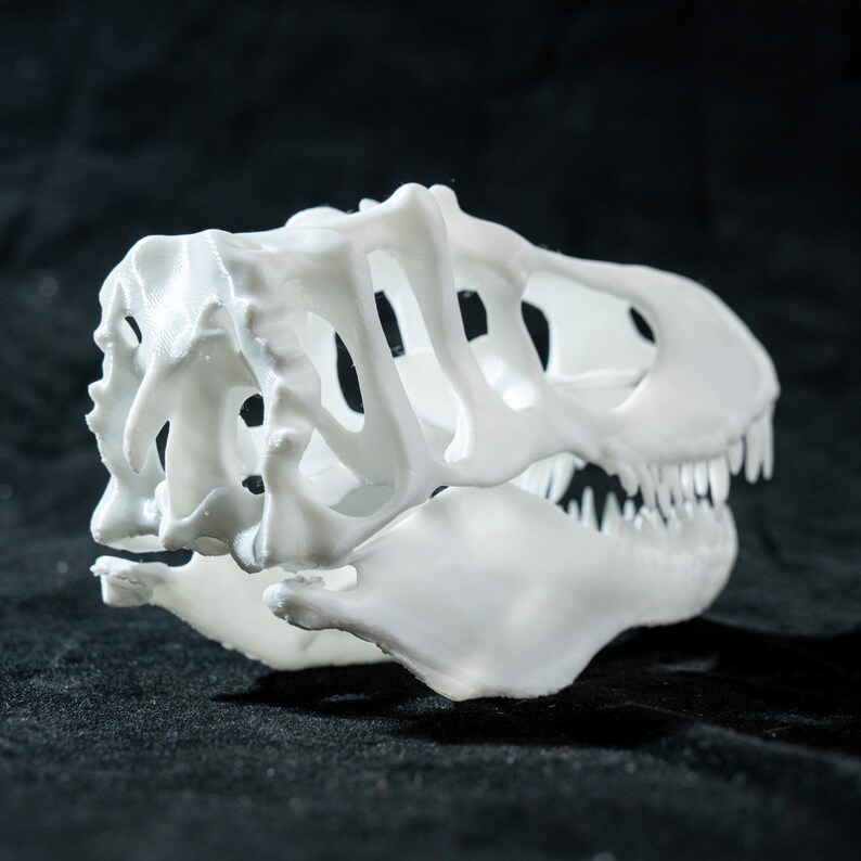 Dinosaur Skull Aquarium Hideout – Fossil Inspired Fish Tank Shelter 3D ...