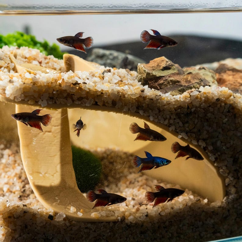 3D Printed Aquarium Cave Decoration Fish Tank Hideout Natural Rock ...