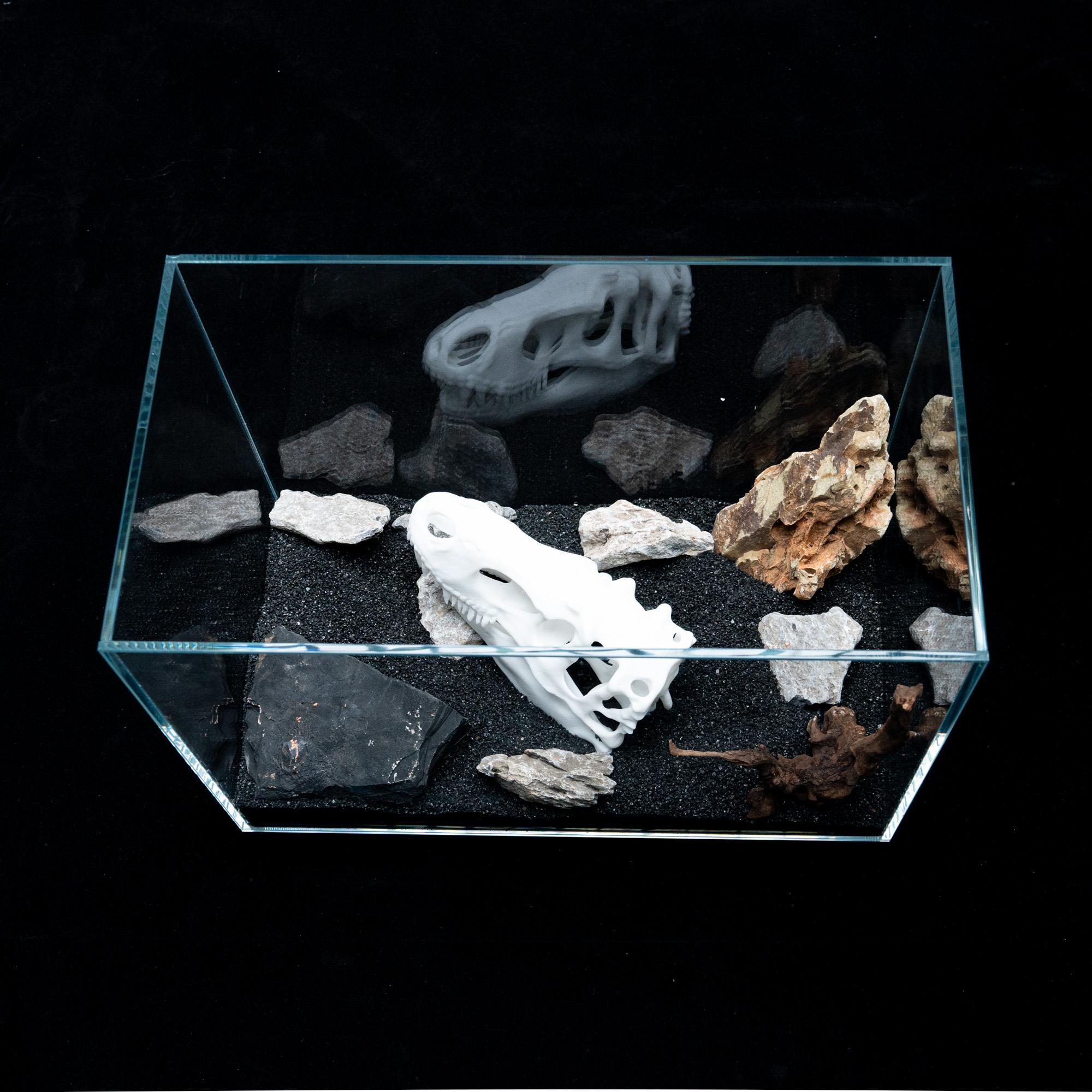Dinosaur Skull Aquarium Hideout – Fossil Inspired Fish Tank Shelter 3D ...