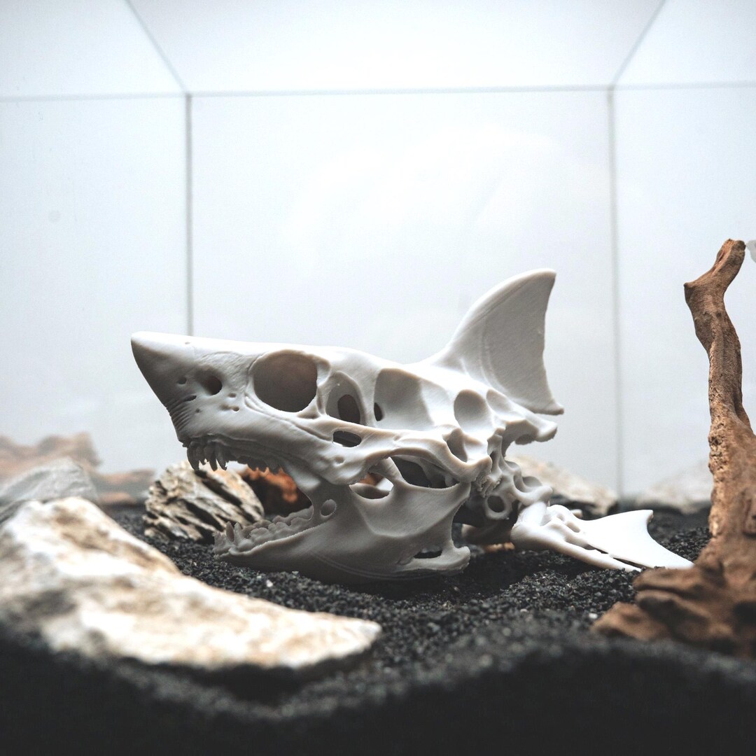 Shark Skull Aquarium Decor 3D Printed Fossil Cave Hideout Fish Tank ...