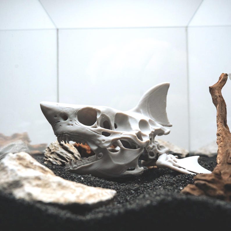 Shark Skull Aquarium Decor 3D Printed Fossil Cave Hideout Fish Tank ...