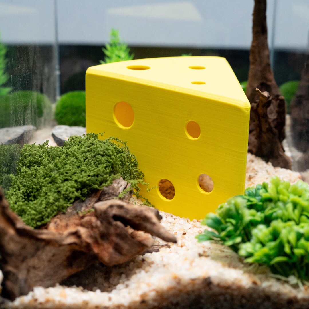 Mini Cheese Aquarium Hideout–3d Printed Fish Cave Shelter Customizable ...