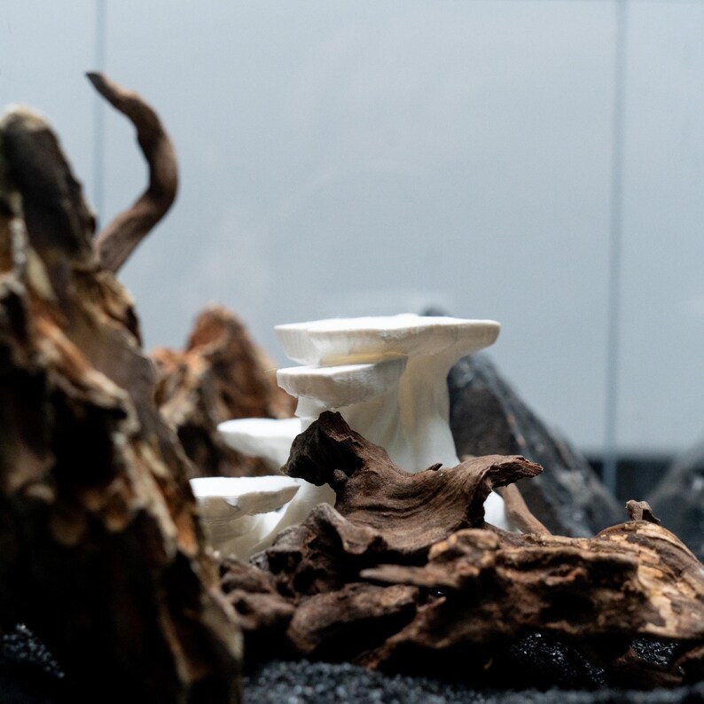 3D Printed Reptile Climbing Platform and Hideout Tree Stump Rock ...