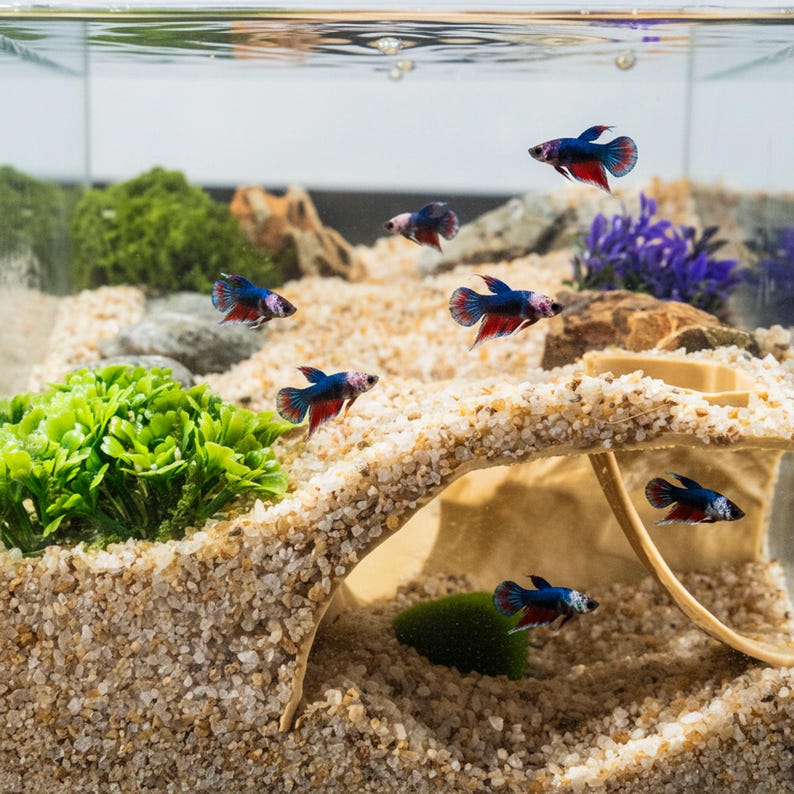 3D Printed Aquarium Cave Decoration Fish Tank Hideout Natural Rock ...
