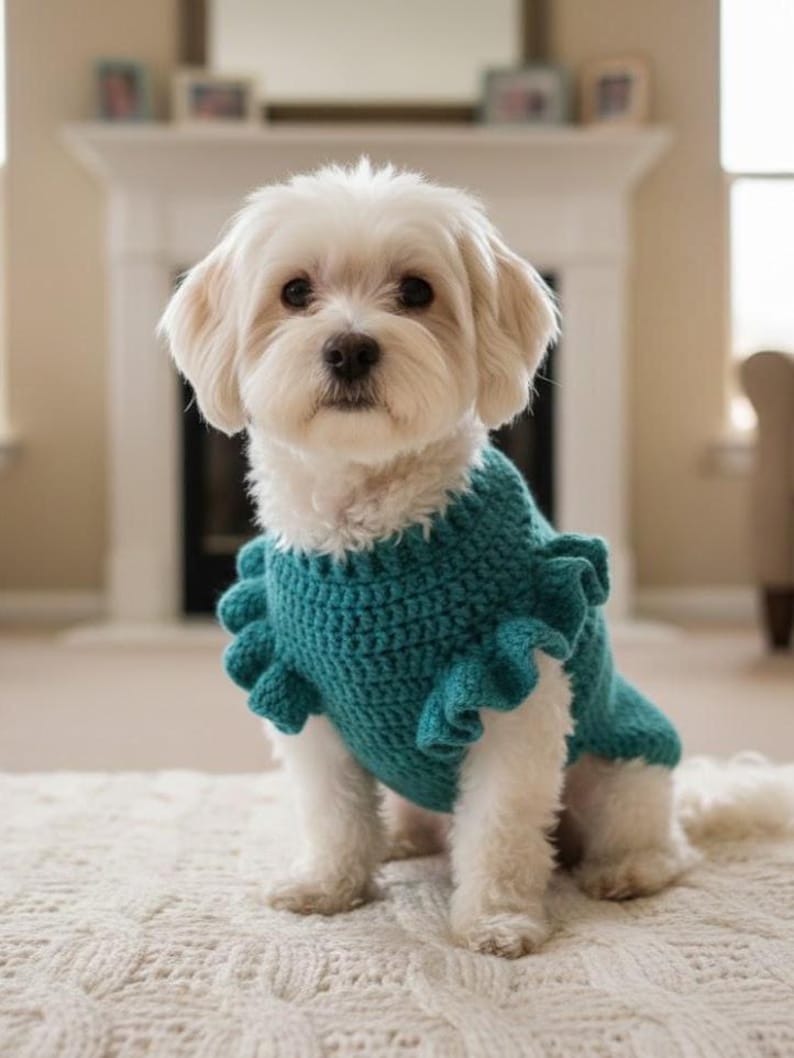 Crochet Dog Sweater Pattern With Video Guide | DIY Pet Ruffled Clothes ...