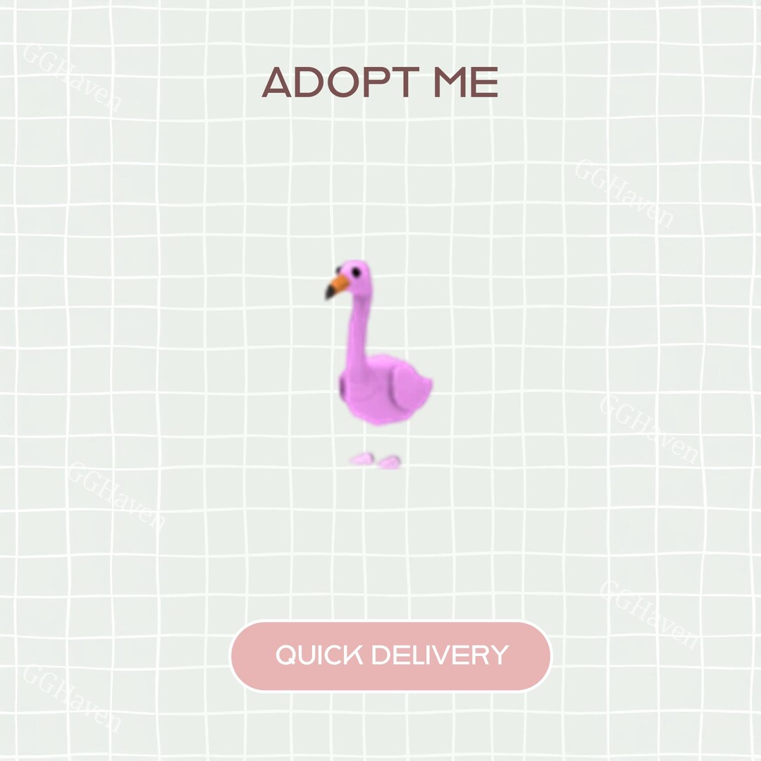Adopt Me Flamingo Fly & Ride - Personalized Roblox Gift - Etsy