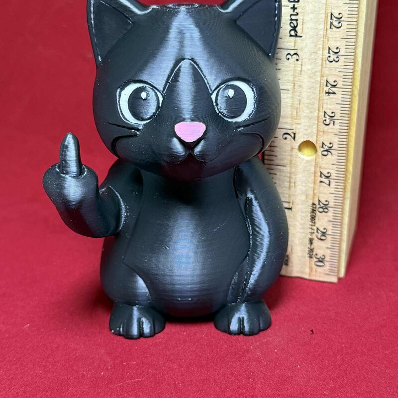Middle Finger Cat - Etsy