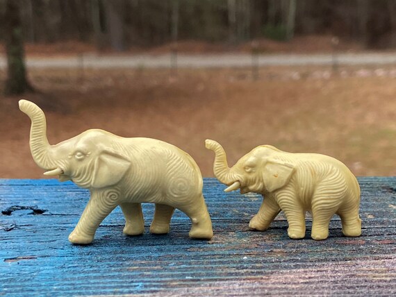 Teacup Elephant Real