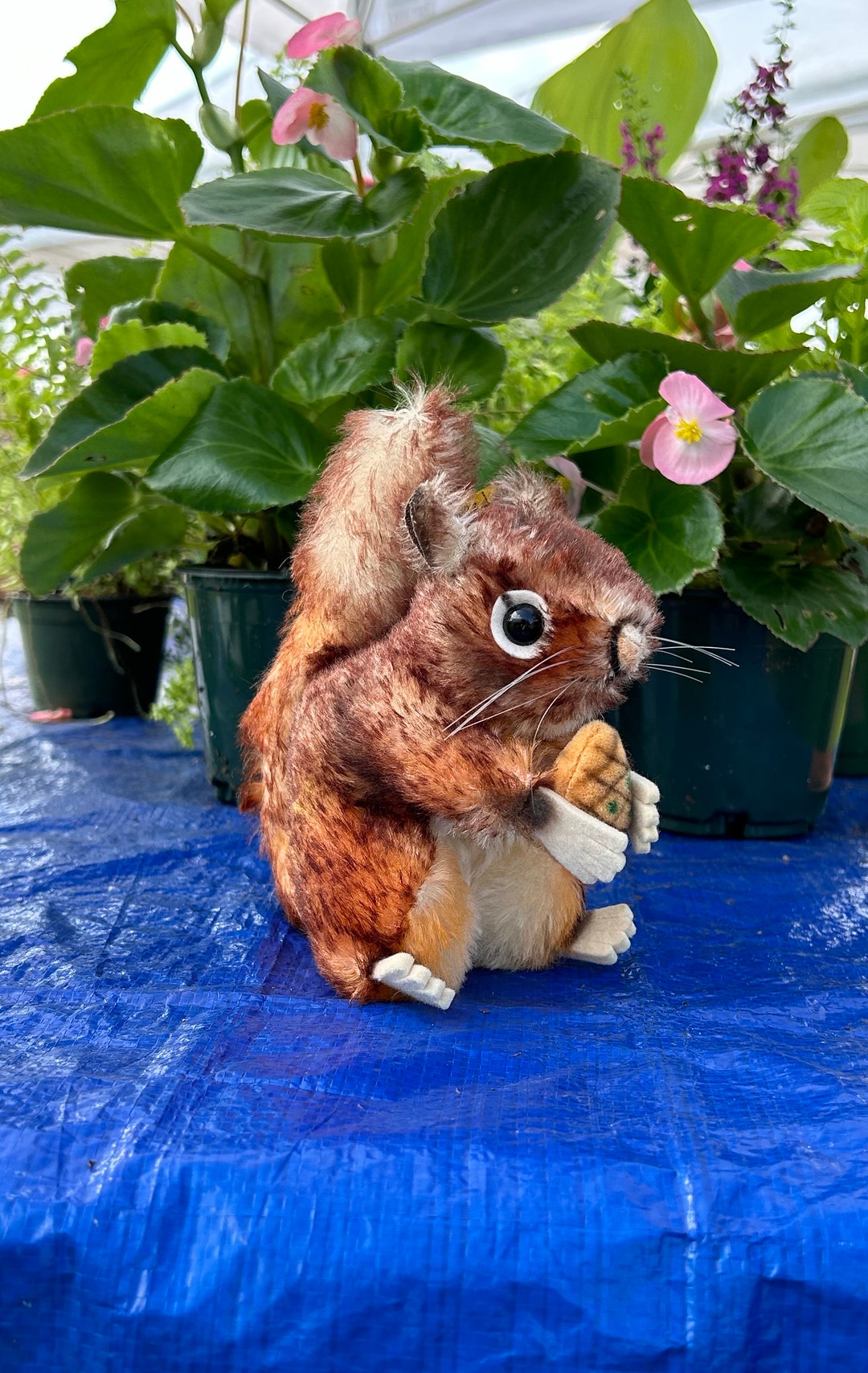 STEIFF Squirrel Perri 2040/17 1968-1980 With Ear Button Vintage Walt ...