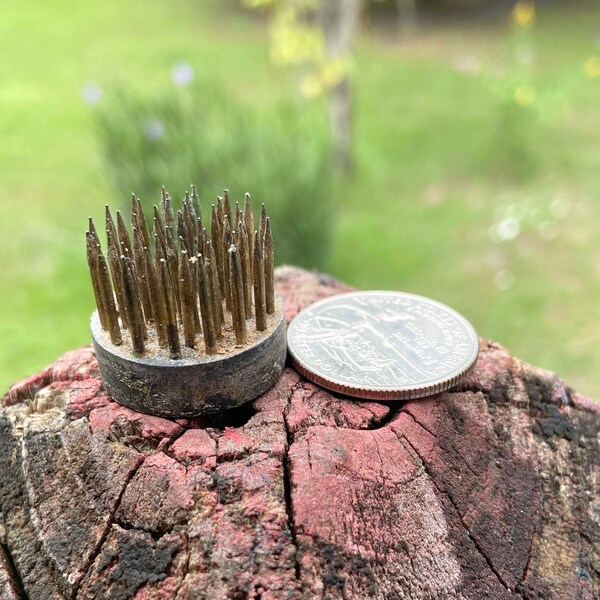 Spiked Flower Frog - Etsy