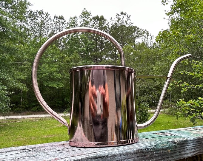 Stylized Pink Metal Watering Can Precise Water Can Houseplant Care ...